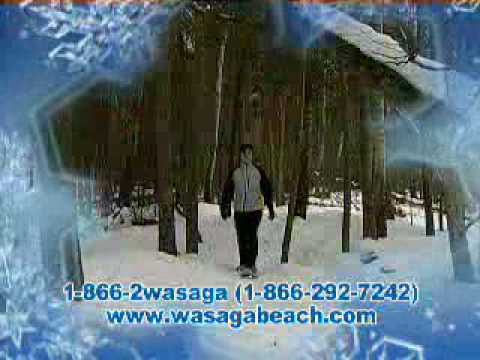 Wasaga Beach - Winter 2008.wmv - YouTube