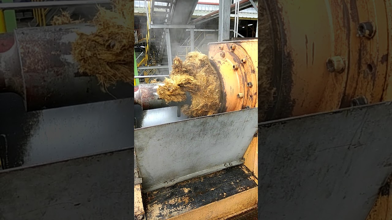 Mesin Empty Bunch Press Sri Sinaco - YouTube