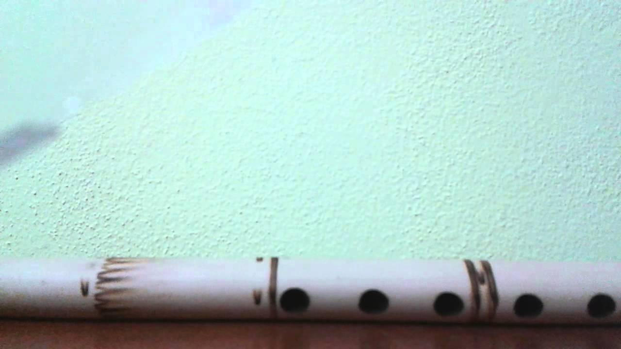Gam Gam con il flauto - YouTube
