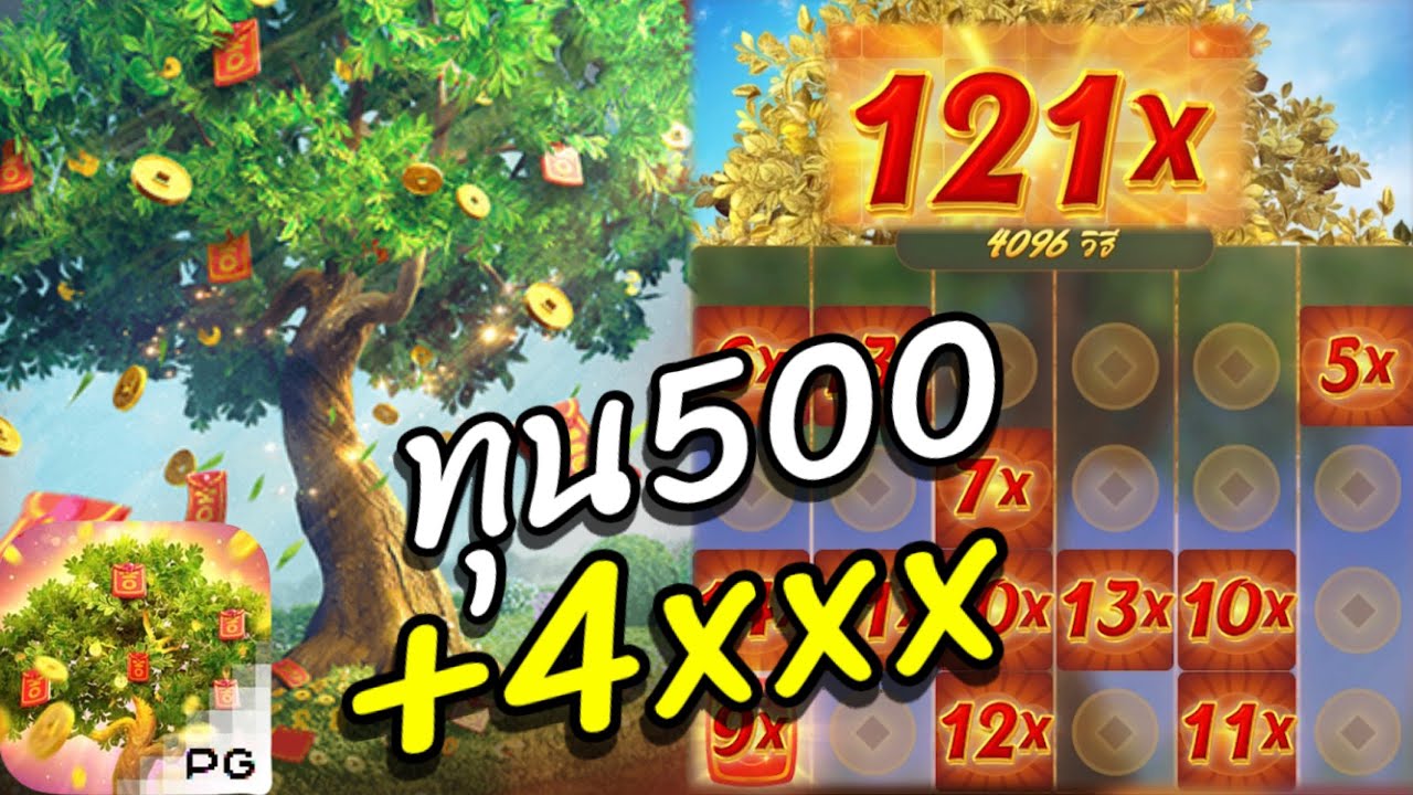 Prosperity Fortune Tree│ต้นไม้โชคลาภ ทุน500 แตก4พันกว่า 😱😱 - YouTube