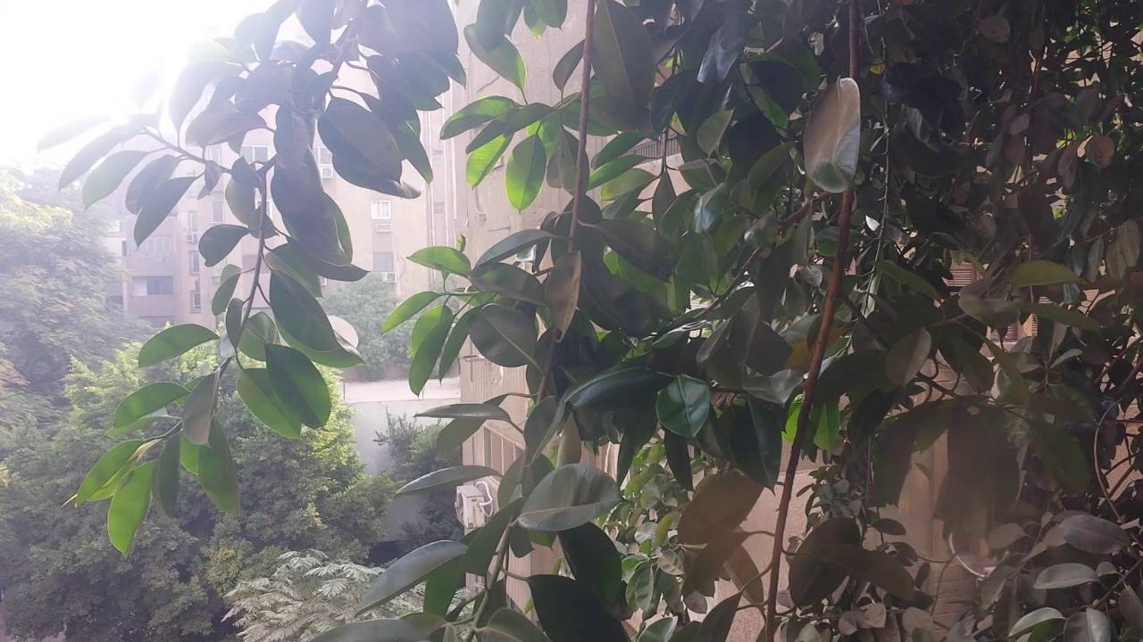 Kamdev Mantra – Marriage and Love Mantra – Om Kamadevaya Vidmahe - YouTube