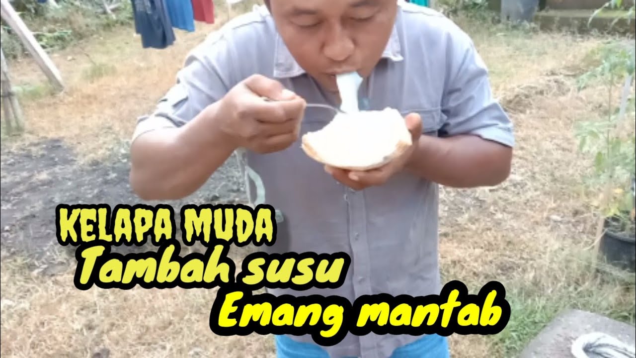 Kelapa muda tambah susu || Emang mantab - YouTube