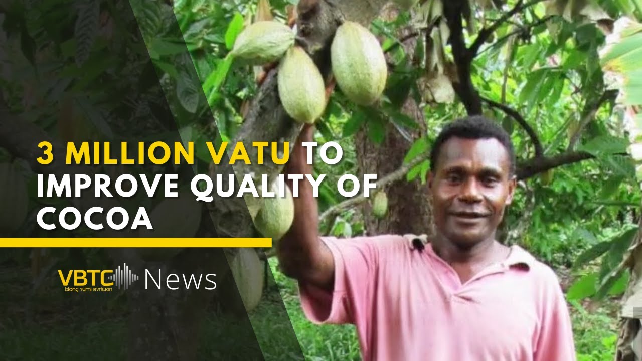 France support with 3 million vatu to improve cocoa quality in Vanuatu ...