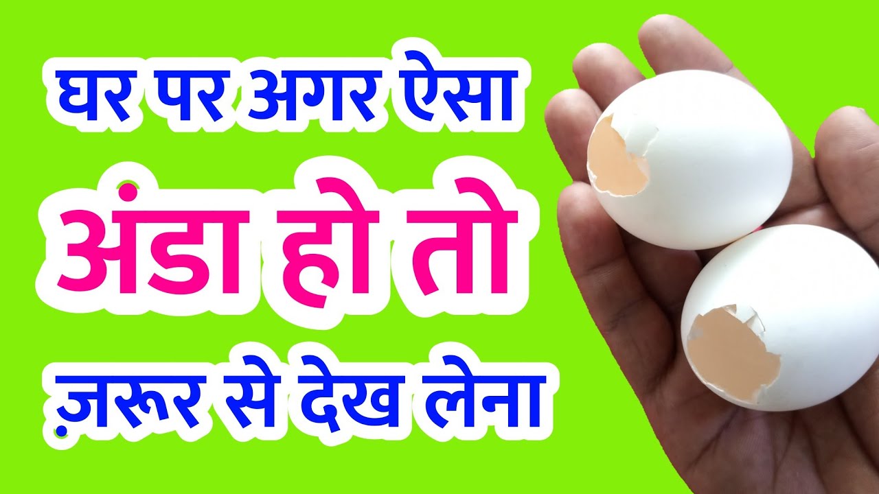 Egg Shell Craft Idea | Best Out Of Waste Egg Shell Craft Idea | Reuse ...