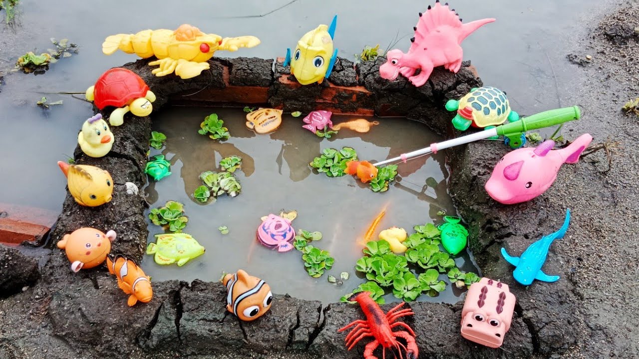 MANCING IKAN PARI, ikan hias, ikan kou, ikan koi slayer, lobster besar ...