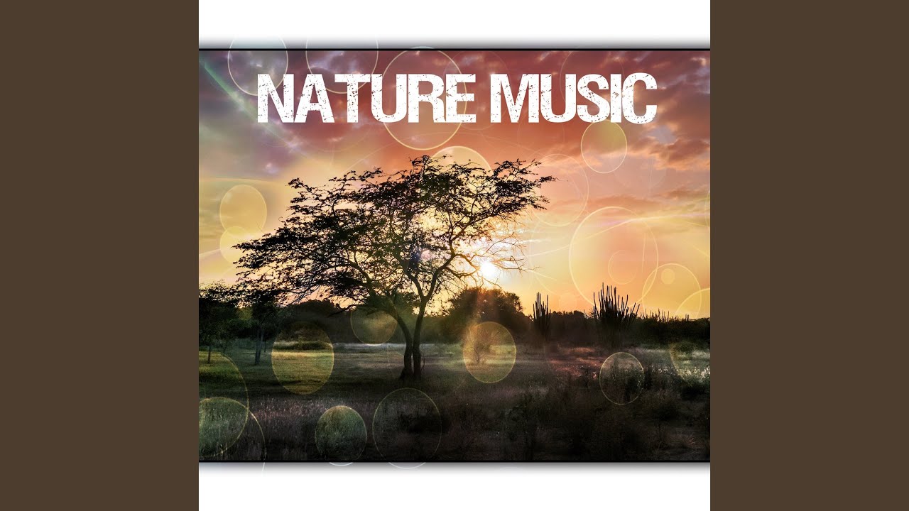 Natural Chill - YouTube