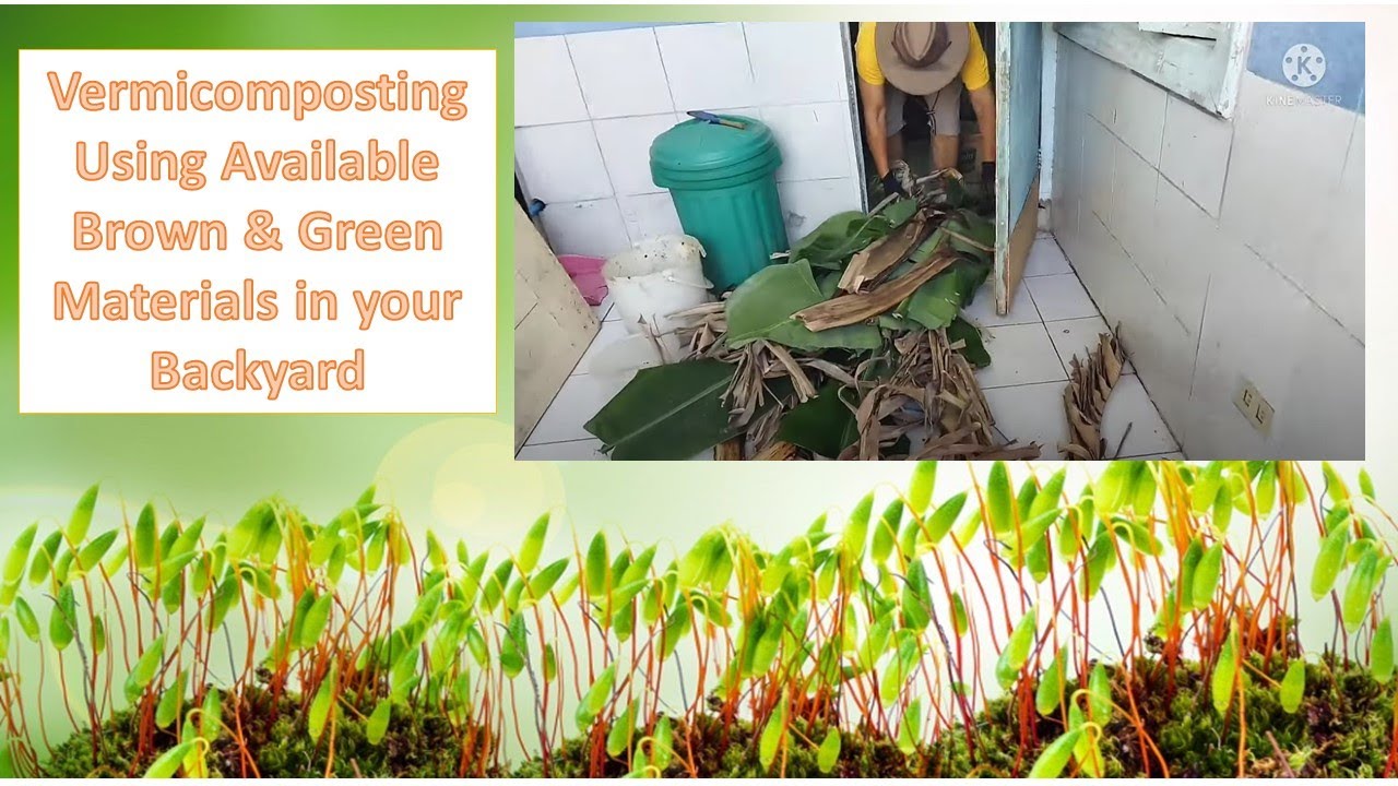 V51 How to Make Vermicompost in your Backyard Garden - YouTube