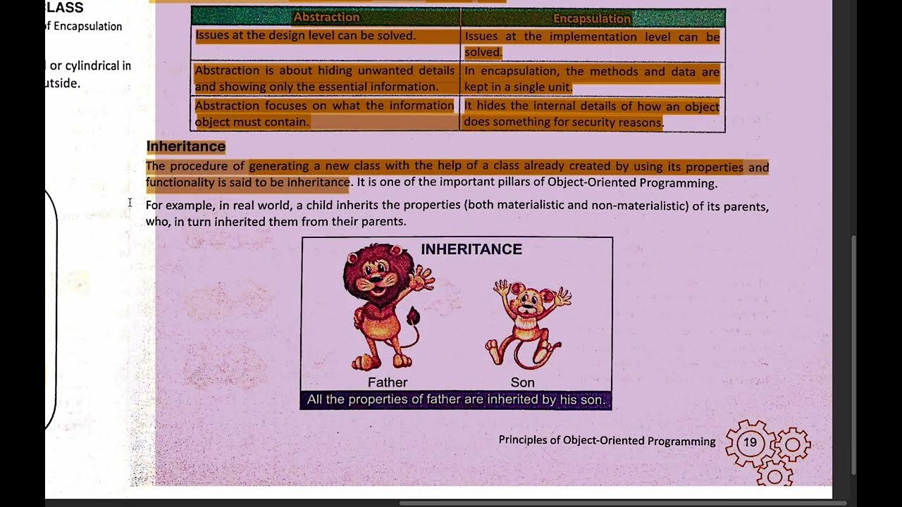 Class 9th | Computer | ICSE | Principles of Object Oriented Programming - YouTube