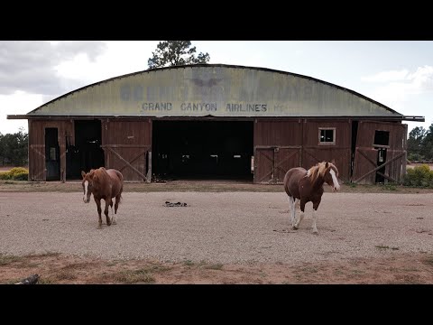 Horse’s Rule the Field. Grand Canyon’s Red Butte Airfield. - YouTube