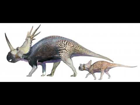 Sound of Styracosaurus albertensis (VOLUME WARNING!)