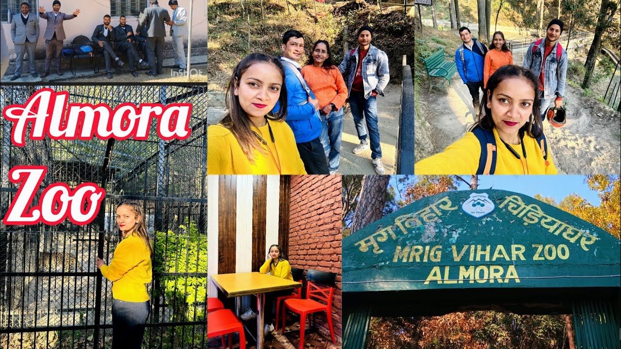 Almora zoo / Almora Diaries By Priyanka Rana Uttarakhand / Second last ...
