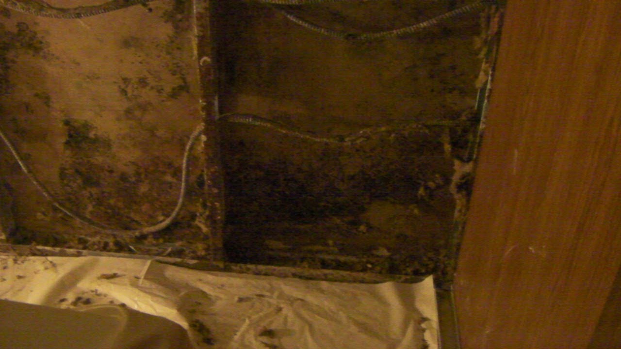 NYCHA, MOLD BREACHES MULTI HP ACTIONS 2010 & 2015. REASONABLE ...