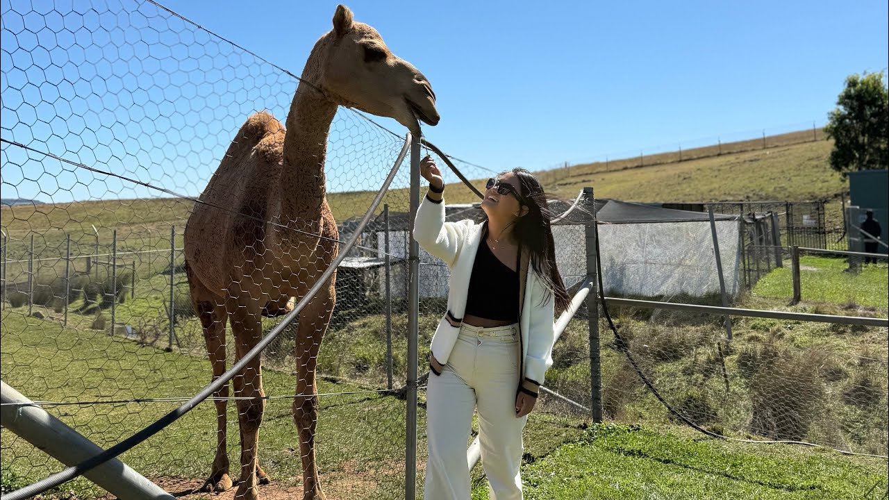 Discovering the Wonders of Taralga Wildlife Reserve - YouTube