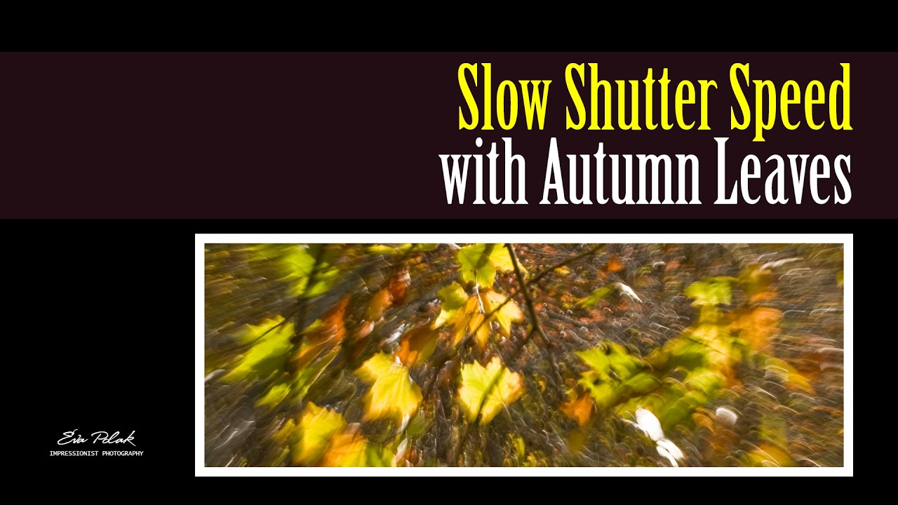 Slow Shutter Speed with Autumn Leaves - YouTube