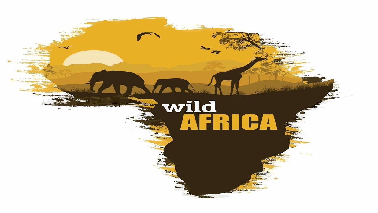 Animalia Survival - Some Places From TVL2 Map - YouTube