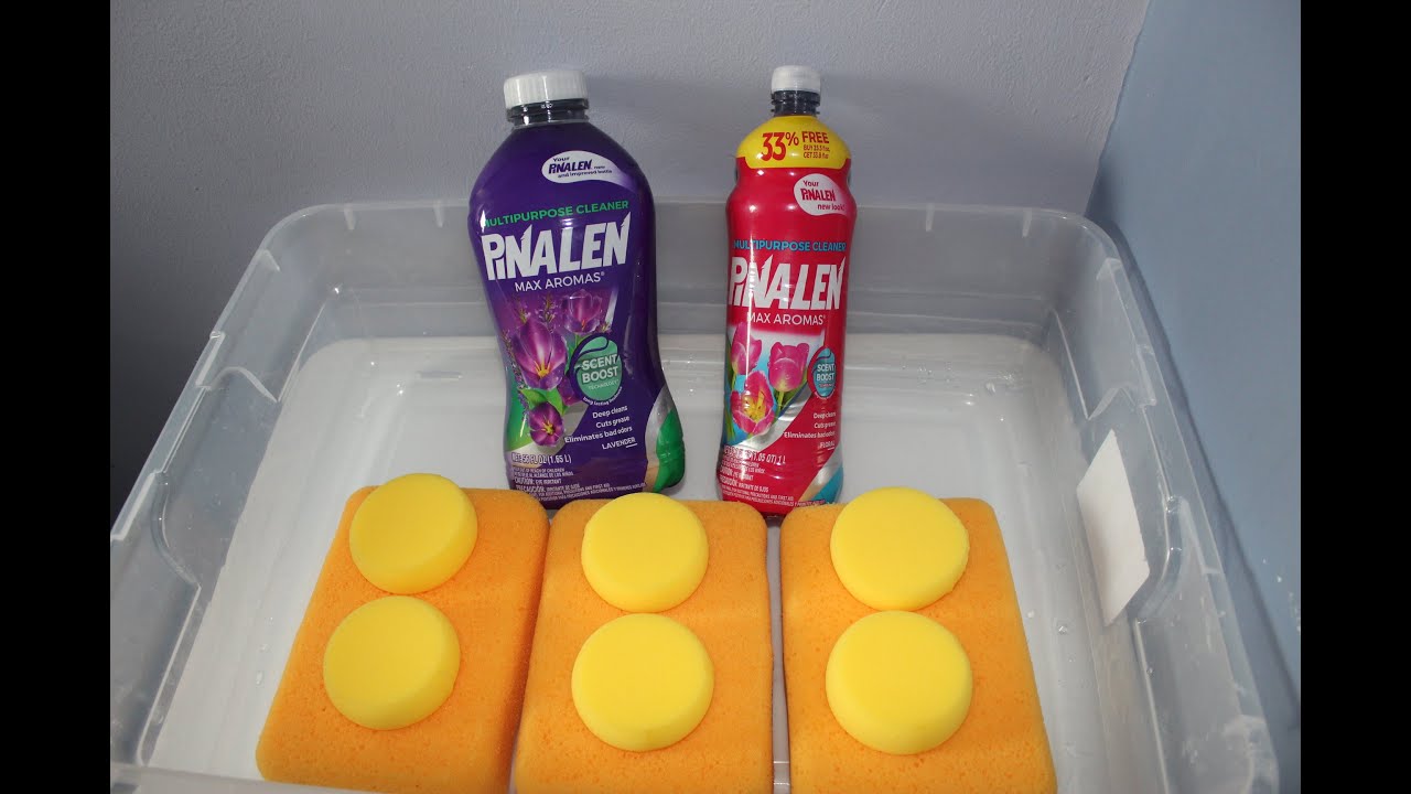 🟣🌺Pinalen Purple And Pink With New Mini Sponges!|ASMR🟣🌺 - YouTube