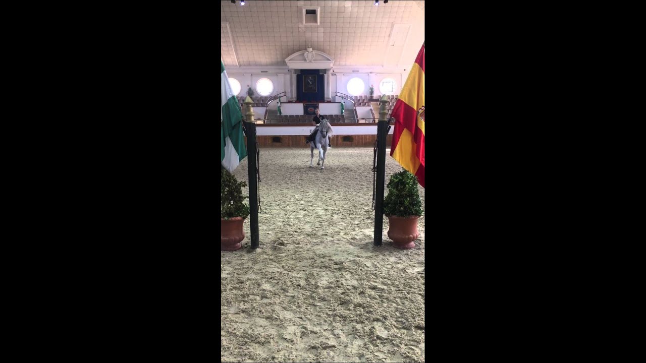 The best Spanish Walk Ever! - YouTube