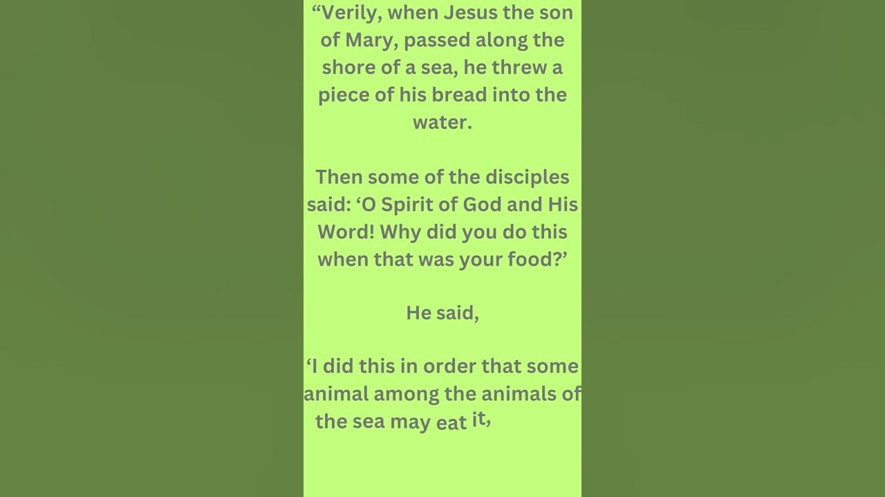 The Book Of Matthew the Book Of Matthew YouTube the-book-of-matthew-the-book-of-matthew-youtube