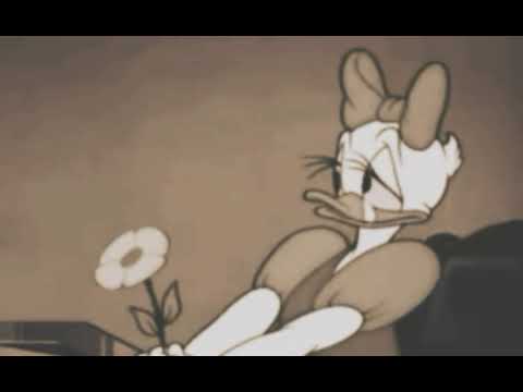 papatyam seni özlüyorum