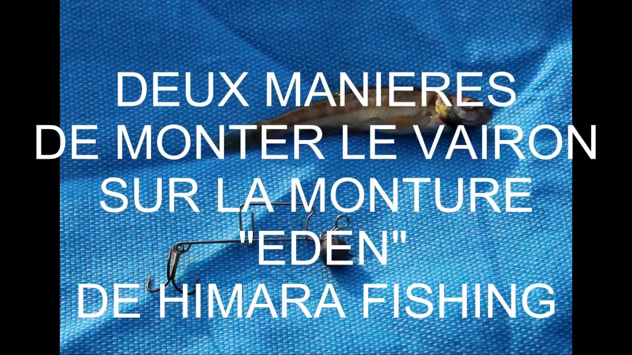 DEUX MANIERES DE MONTER LE VAIRON SUR LA MONTURE "EDEN" D'HIMARA ...