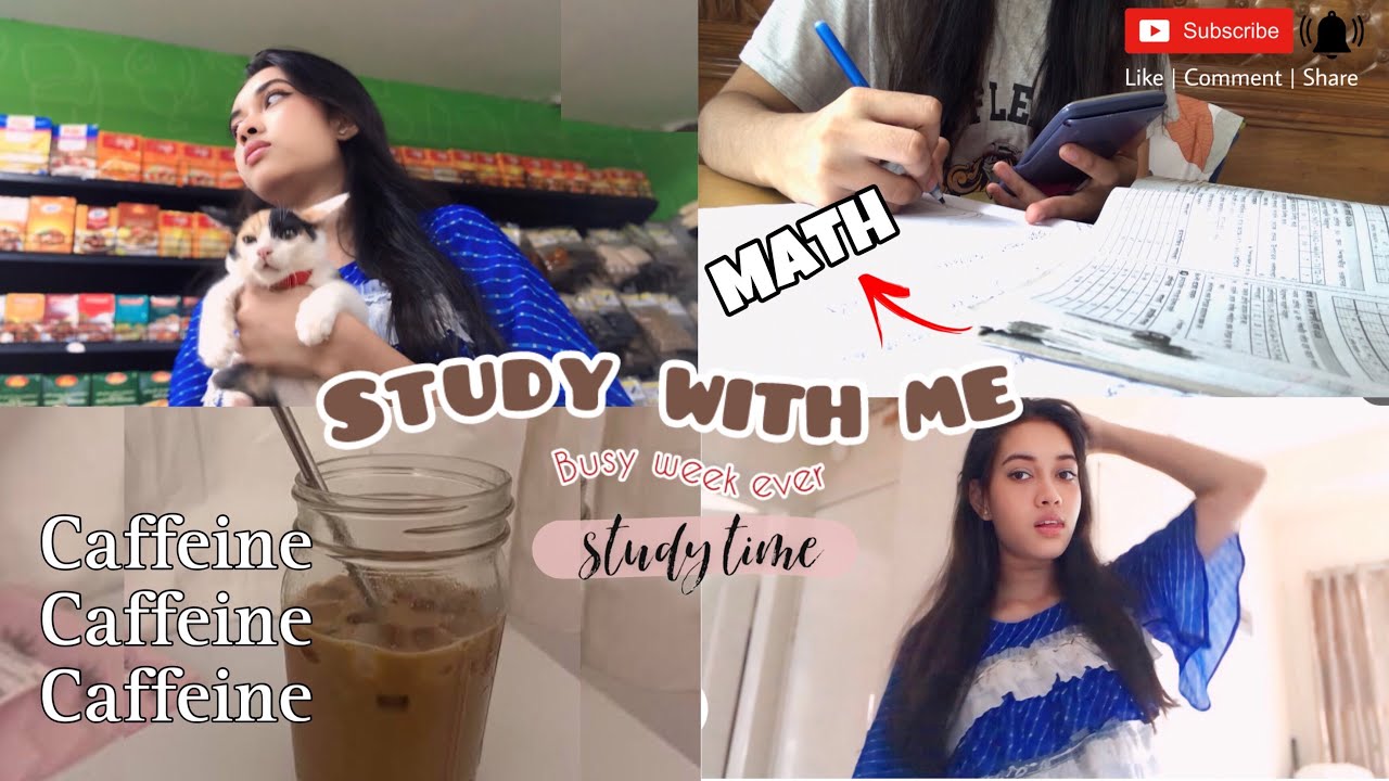 Study with me || Preparing for exam ; Math || Date alone with my cat ...