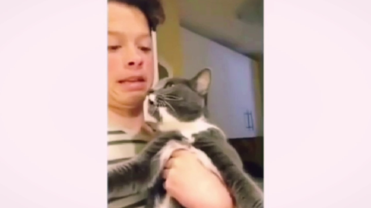 Jacob sartorius cat - YouTube