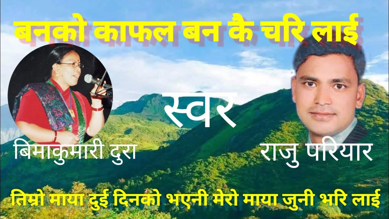 Nepali Lok Dohori Geet || बनको काफल बनकै चरीलाई || राजु परियार ...