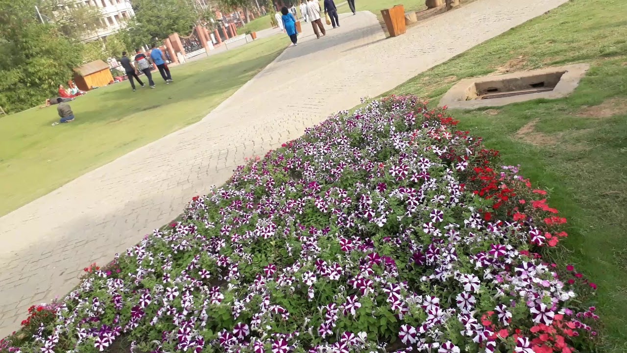OSHO TREE AT BHANVARTAL GARDEN, JABALPUR - YouTube