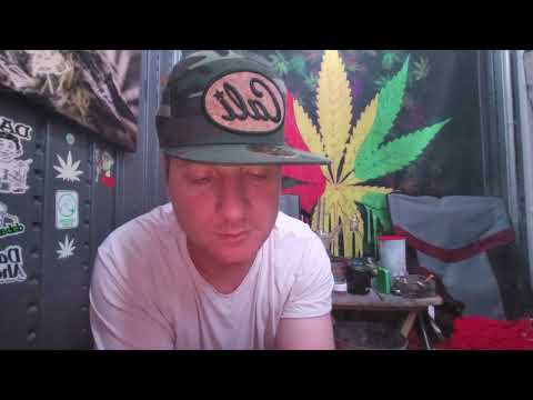 berry punch flower prerolls by baby jeeter