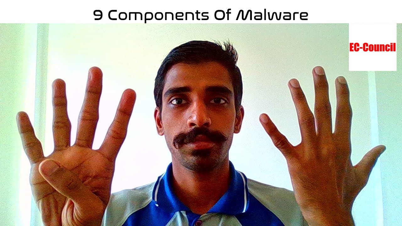 9 Parts Of Malware | Malware Explained - YouTube