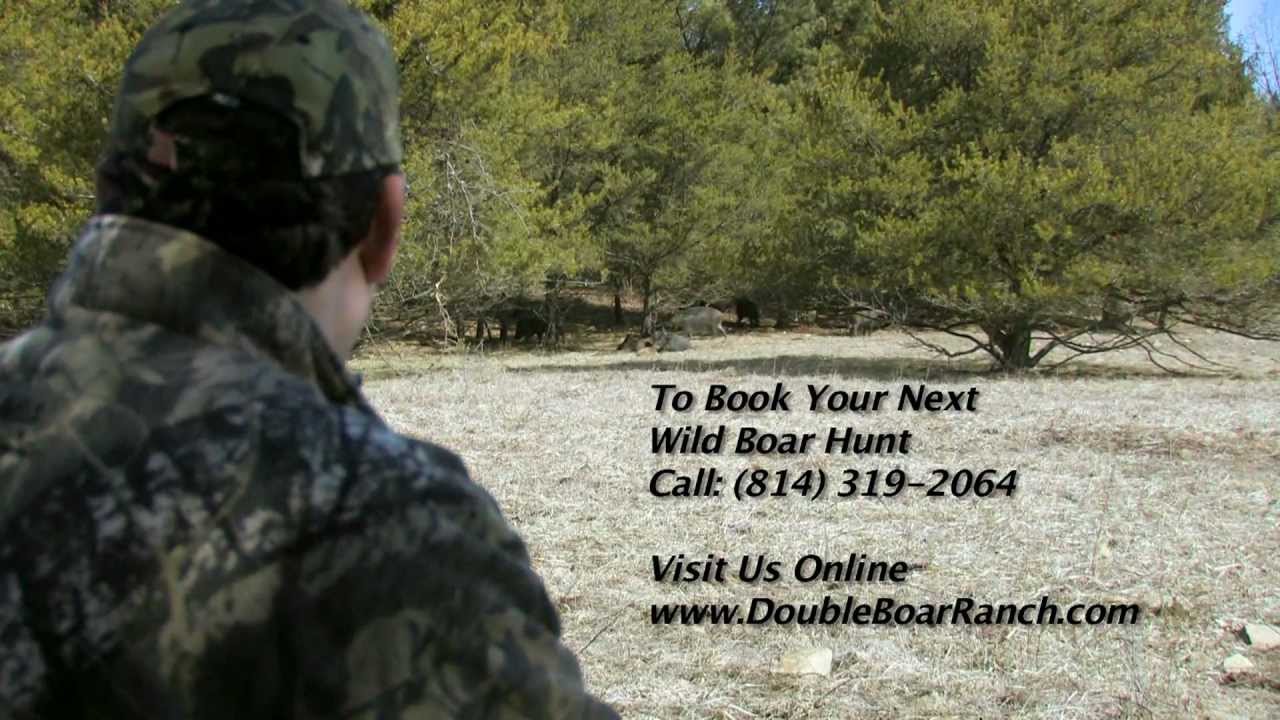 Wild Boar Hunting Double Boar Ranch - YouTube