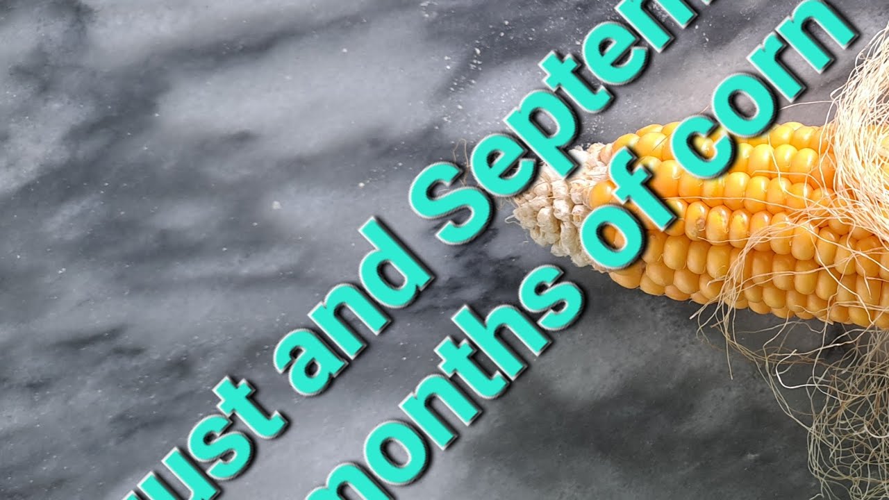 August and September the months of corns harvesting - YouTube