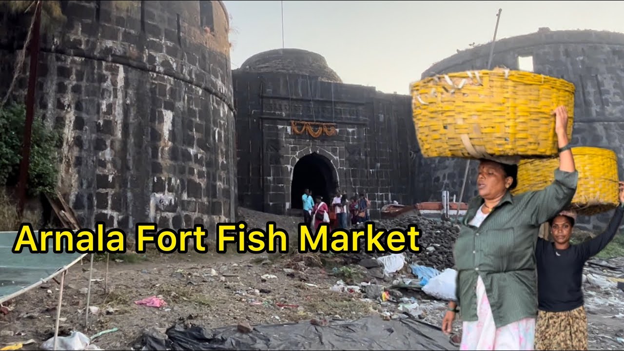 Mumbai Sukhi Fish Market In Virar | Arnala Island Virar | Wholesale ...