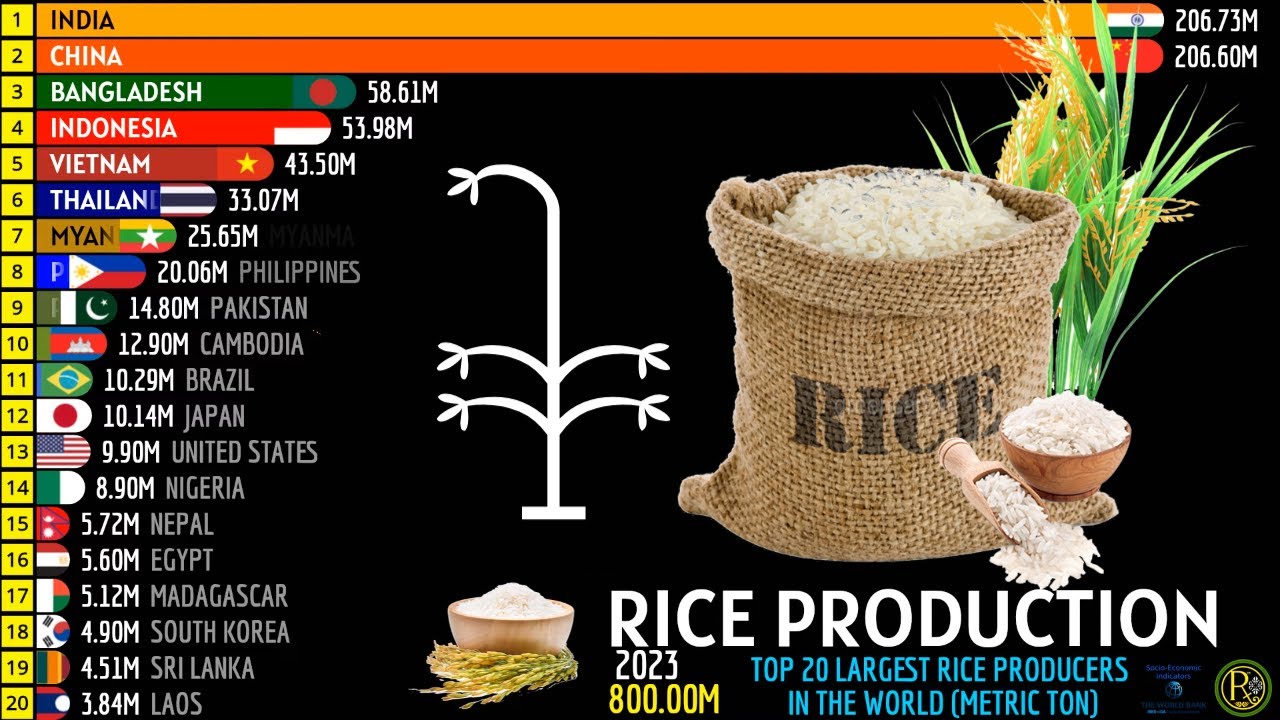TOP 20 LARGEST RICE PRODUCERS IN THE WORLD - YouTube