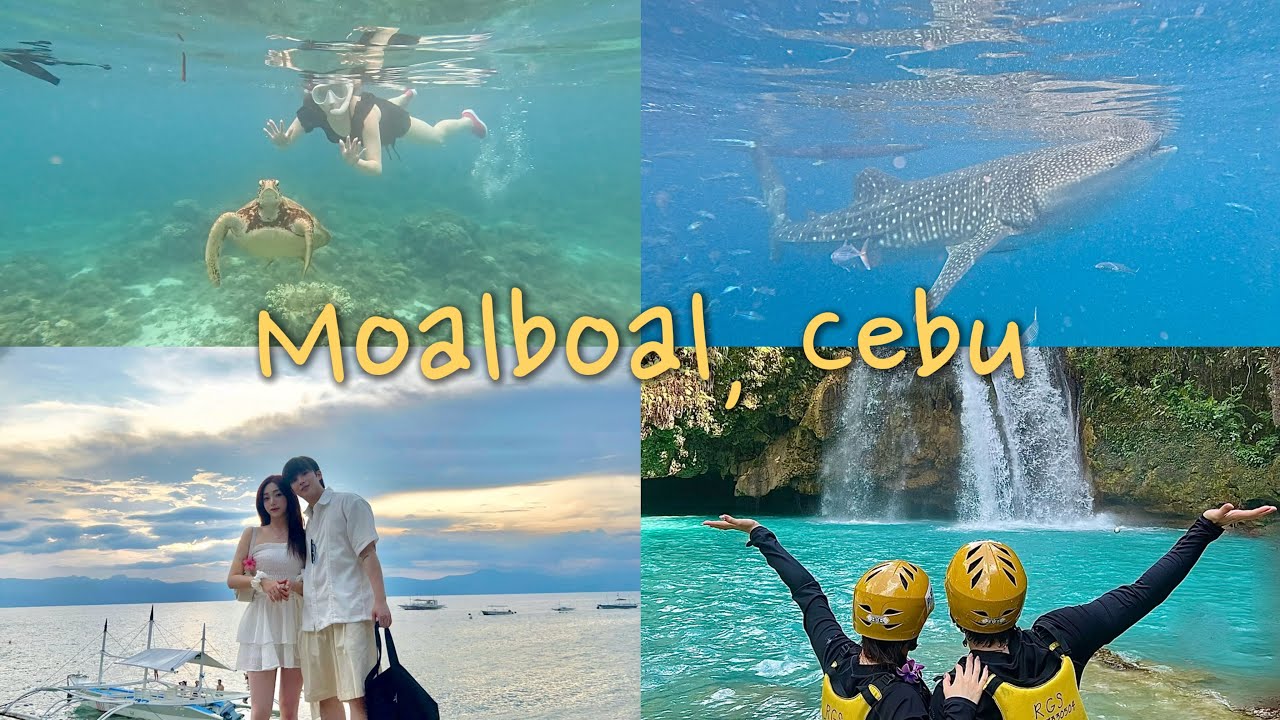 π΅πμΈλΆ λ¨λΆ λͺ¨μ보μ Vlog 1 ν리ν 5λ°7μΌ μμ μ¬ν λ¨λΆ λͺ¨μ보μ μμ μ¬ν κ°μμ° μΊλ
λ μ€μ¬λ‘ κ³ λμμ΄ Youtube