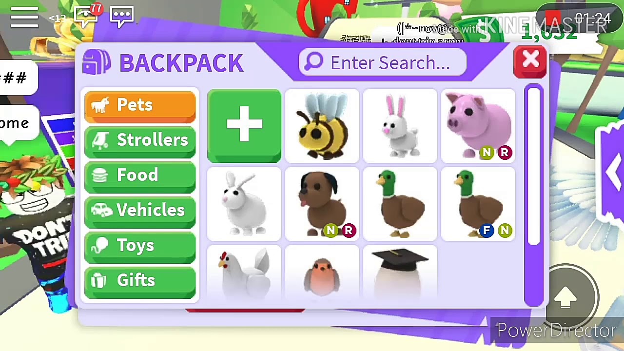 Trading neon pets in adopt me "Drake,pig,robin,chocolate labrador - YouTube