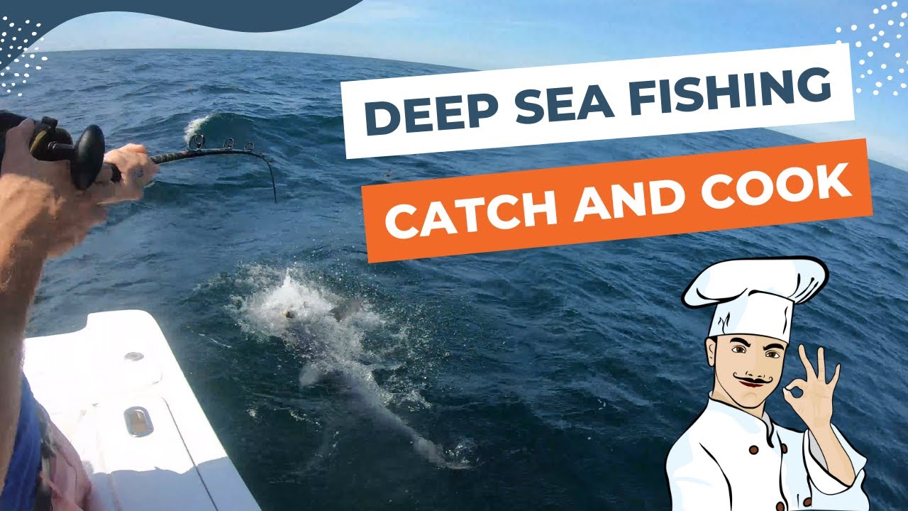 Deep Sea Fishing at Jeffreys Ledge | Catch and Cook | + Sharks! 😲 - YouTube