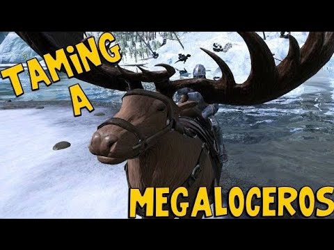 how to tame megaloceros ark survival evolved how to tame megaloceros ...
