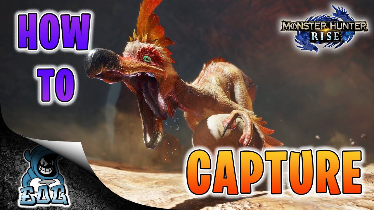 Monster Hunter Rise How To Capture Monsters - YouTube