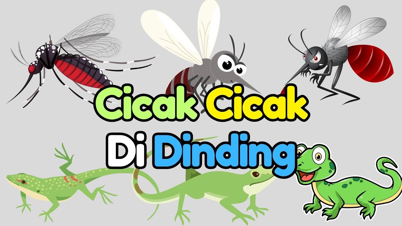 Lagu Cicak Di Dinding Indonesia | Lagu Anak Indonesia Populer | Ceria ...