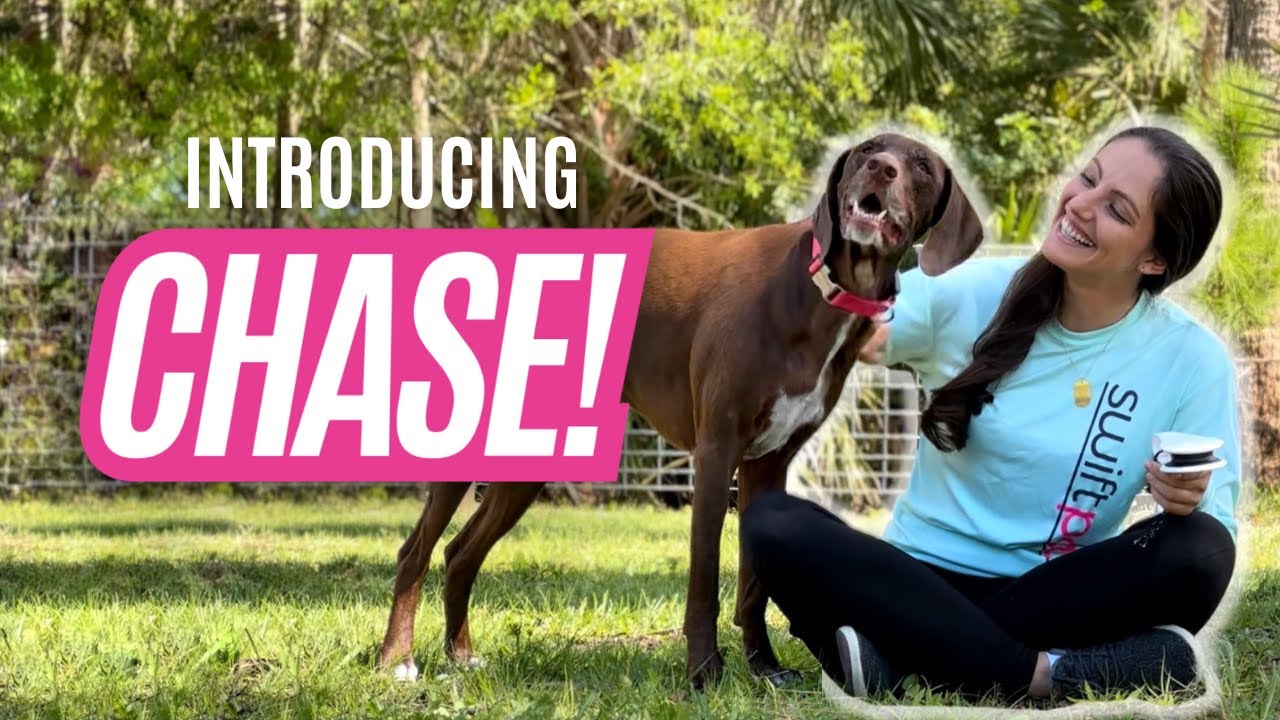 Introducing Chase! - YouTube