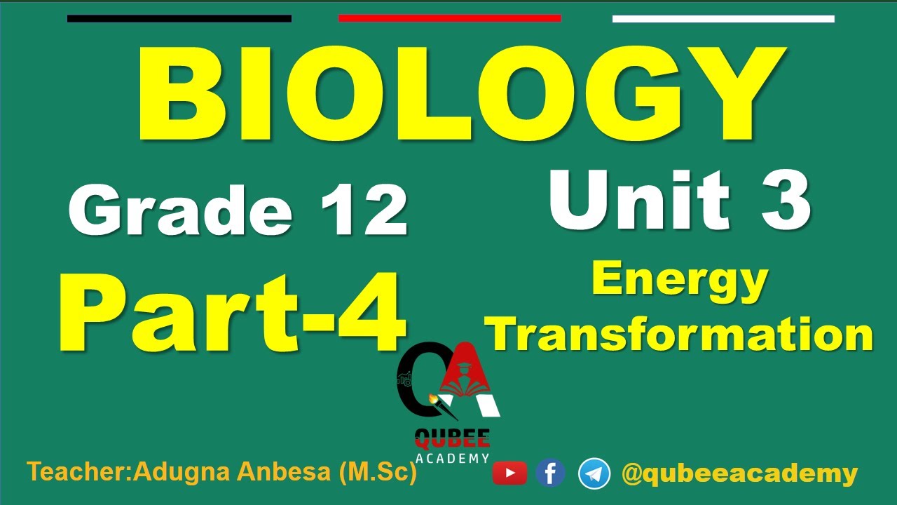 4. Grade 12 Biology Unit 3 : Energy Transformation | Part 4 | Afaan ...