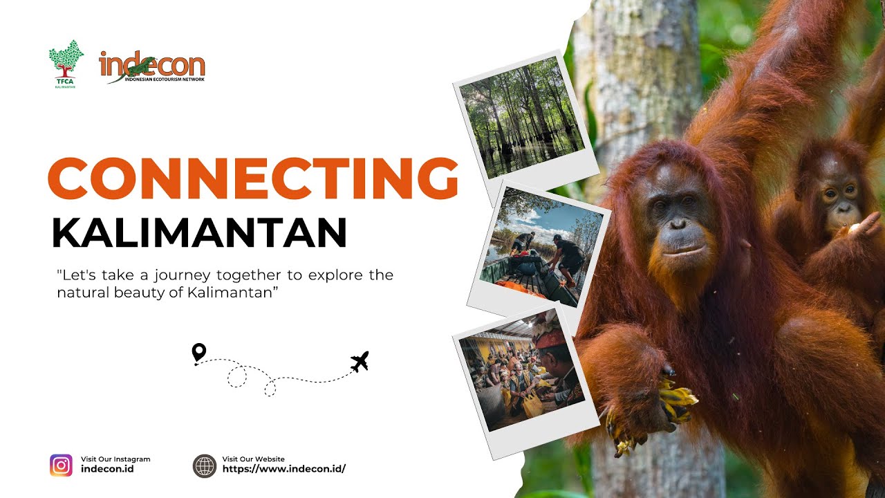 Connecting Kalimantan I KALIMANTAN TOURISM - YouTube