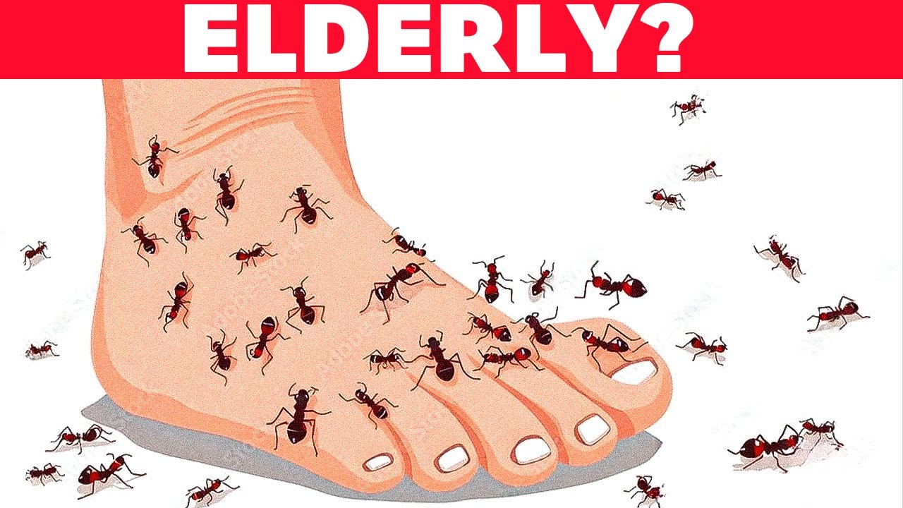 7 Foods Doctors Don't Tell You About: Restore Leg Blood Flow After 60 ...