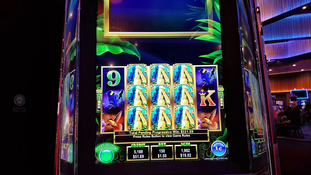 Jungle Birds Ainsworth Slot Machine 333x bet *Huge win* - YouTube