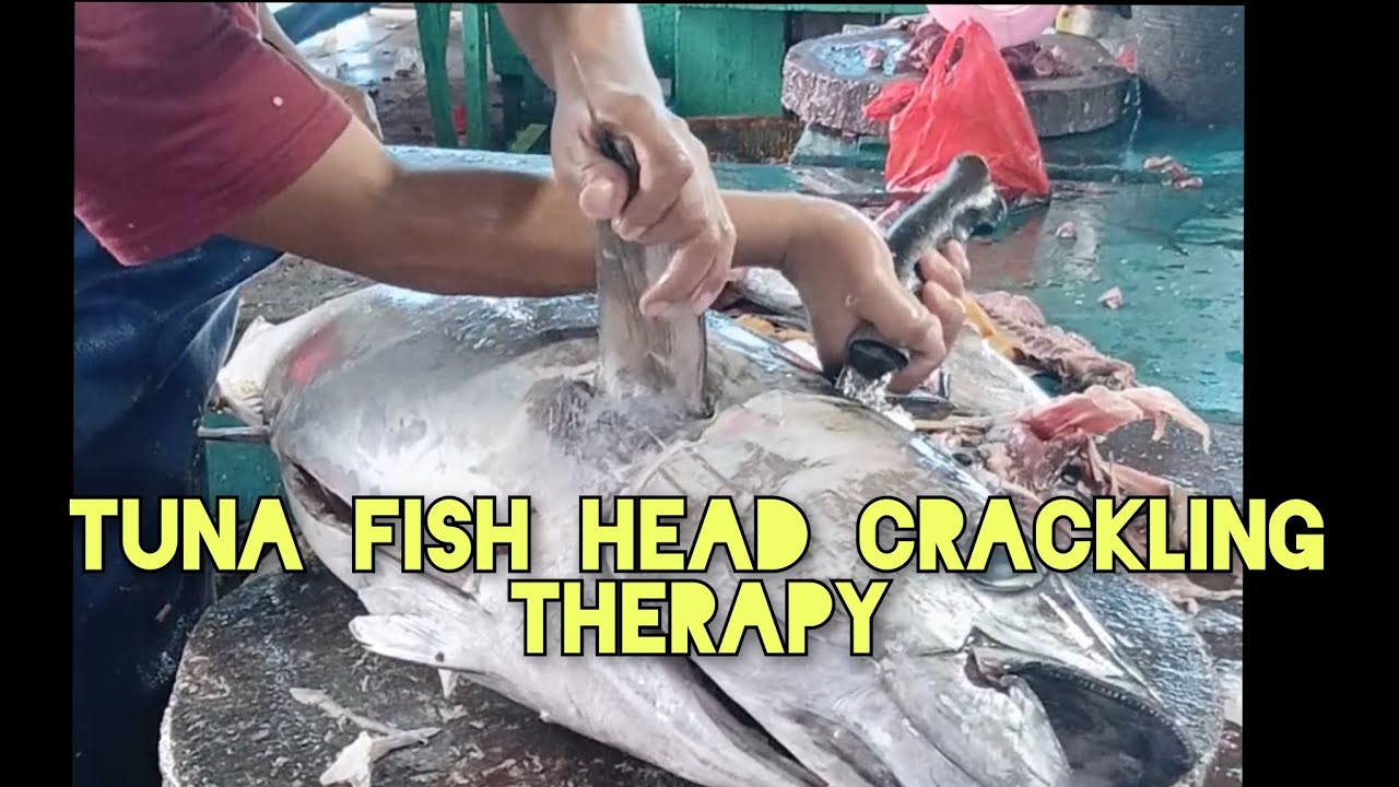 AMAZING!!!! tuna fish head crackling therapy - YouTube