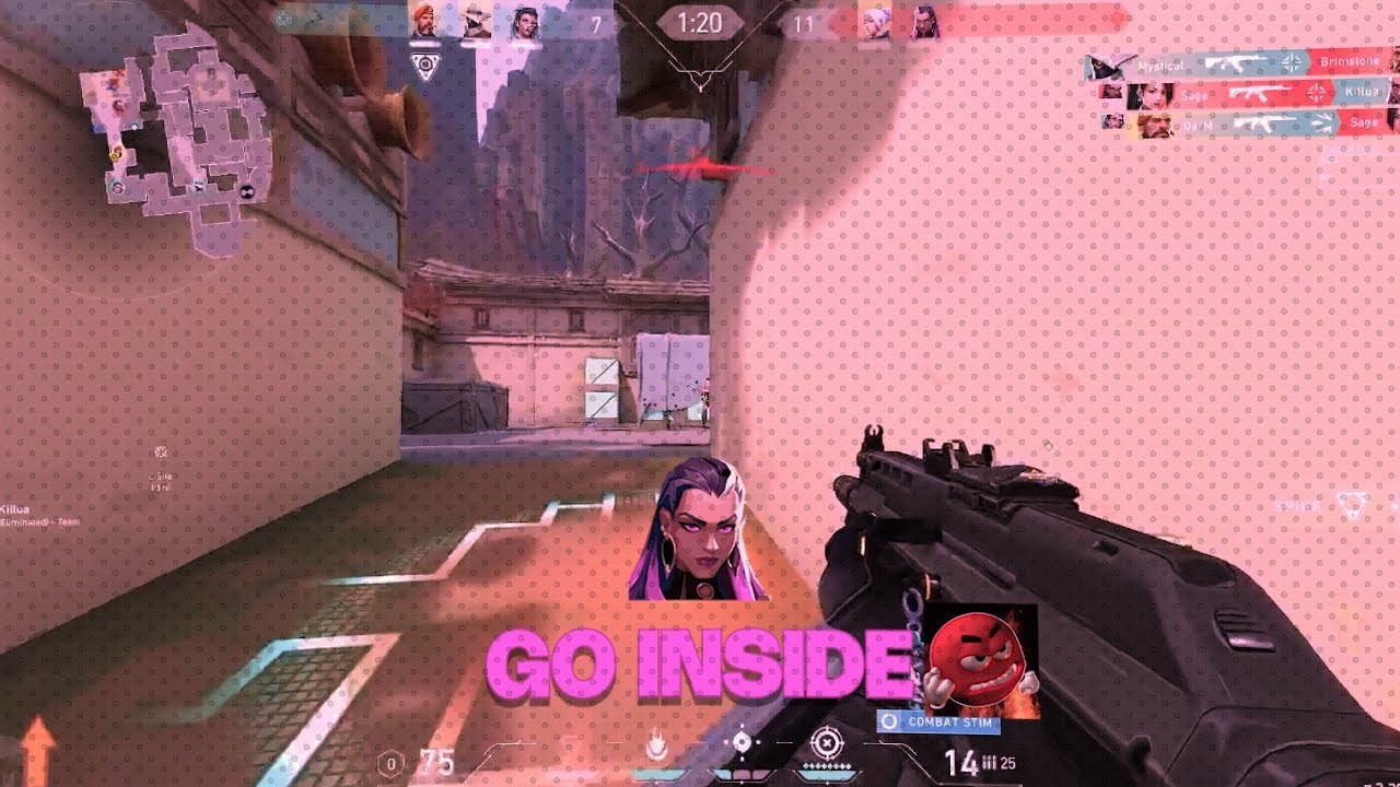 reyna is angry and turns the team into monke 💀 - YouTube