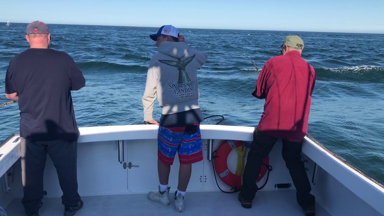 Monomoy Rips Striped Bass Fishing Cape Cod - YouTube