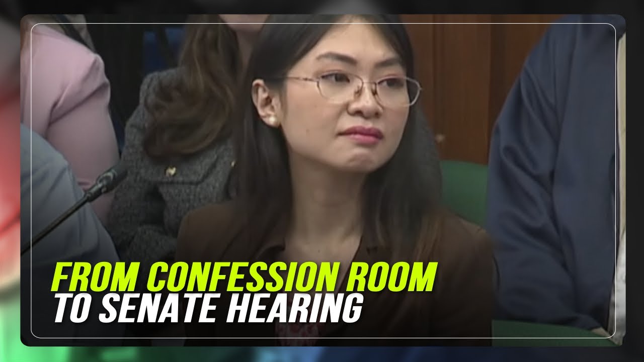 Here's why the Chinese interpreter at Senate's POGO hearing looks familiar - YouTube