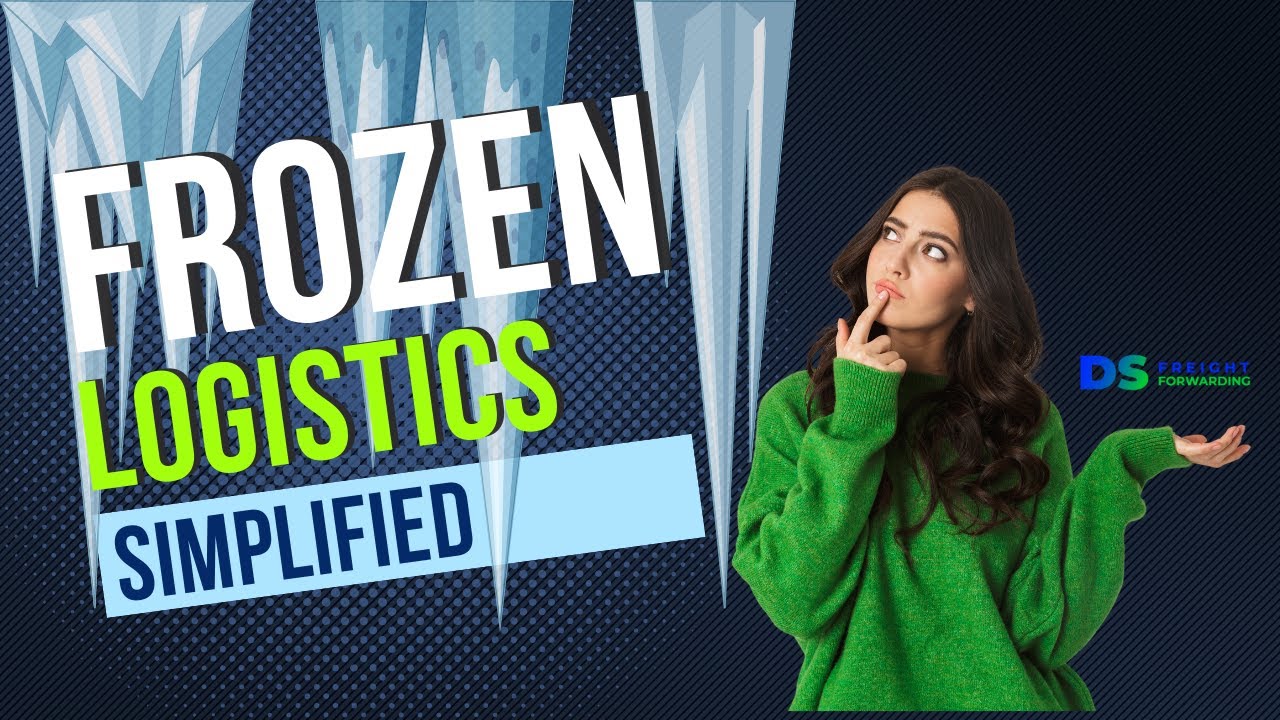 Frozen Logistics Simplified | DS Freight Forwarding - YouTube
